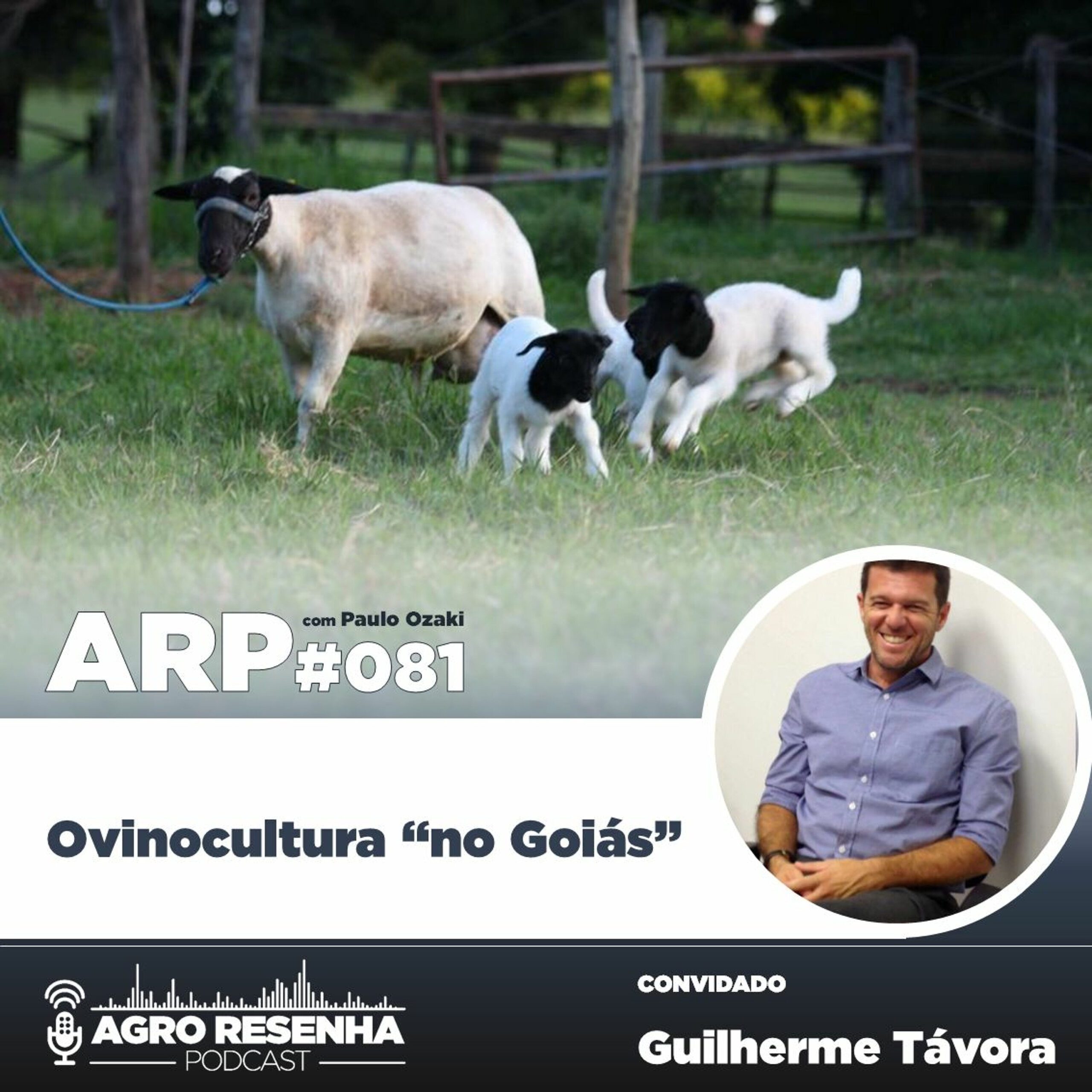 ARP#081 - Ovinocultura "no Goiás" - Agro Resenha Podcast
